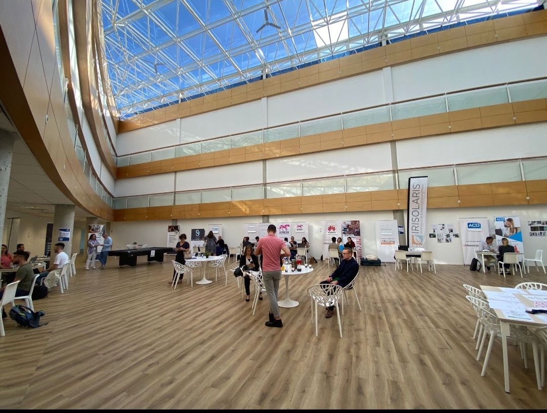 Actualités – Synanto